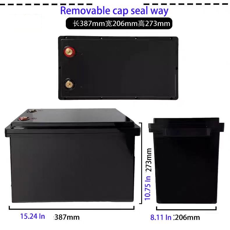 LifePo4 12V Energy Storage Battery 24V 100Ah 200A Lithium Iron Phosphate LifePo4 Battery With ...