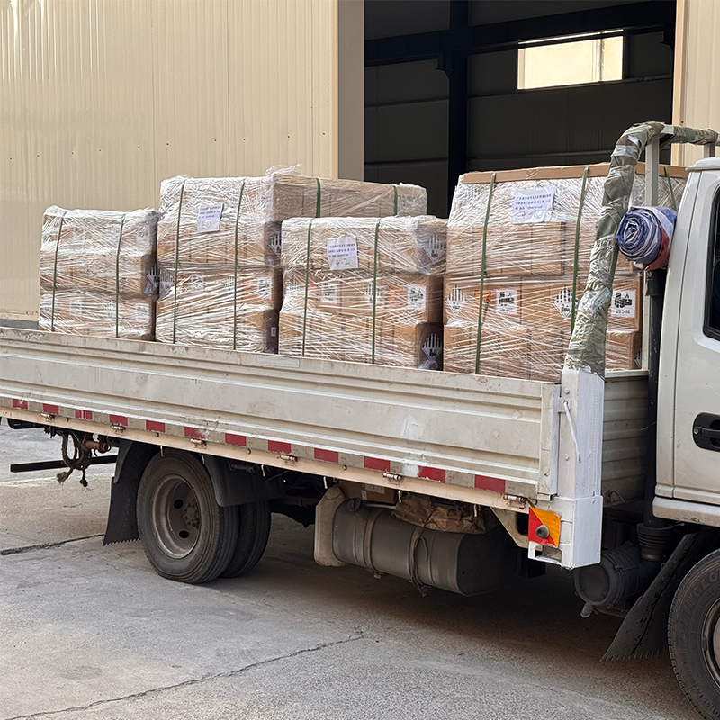 300 Sets of 1P8S 100Ah LFP Battery Modules Air-Shipped to Austria for ...