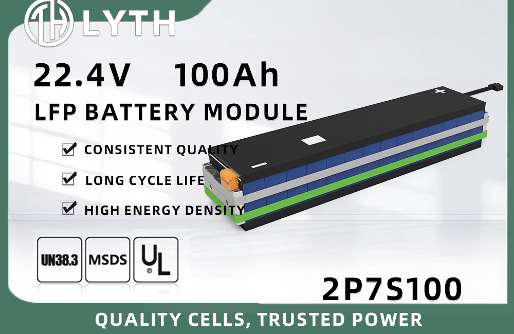 D160F100-2P7S LFP Battery Module – 100Ah(2P7S) | LYTH